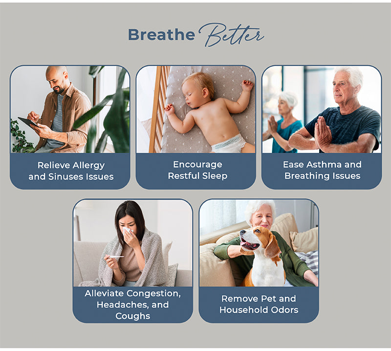 PureZone™ True HEPA Air Purifier | Pure Enrichment®