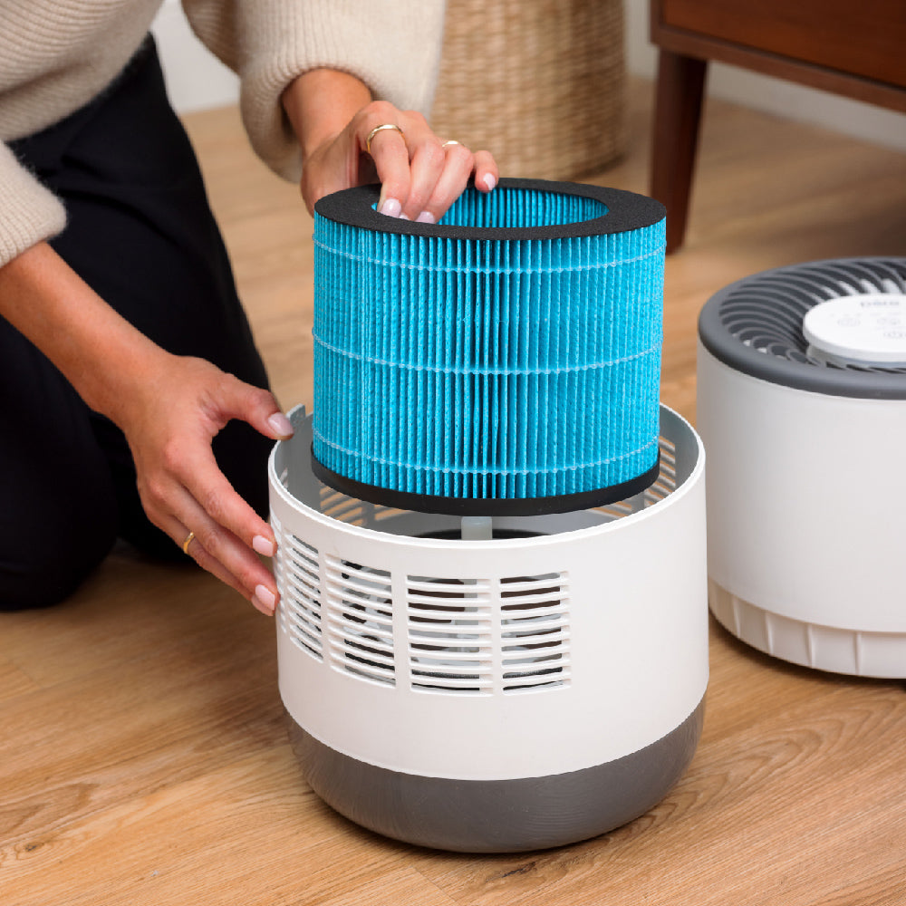 MistAire™ Eva Replacement Air Filter | Pure Enrichment® Official Site